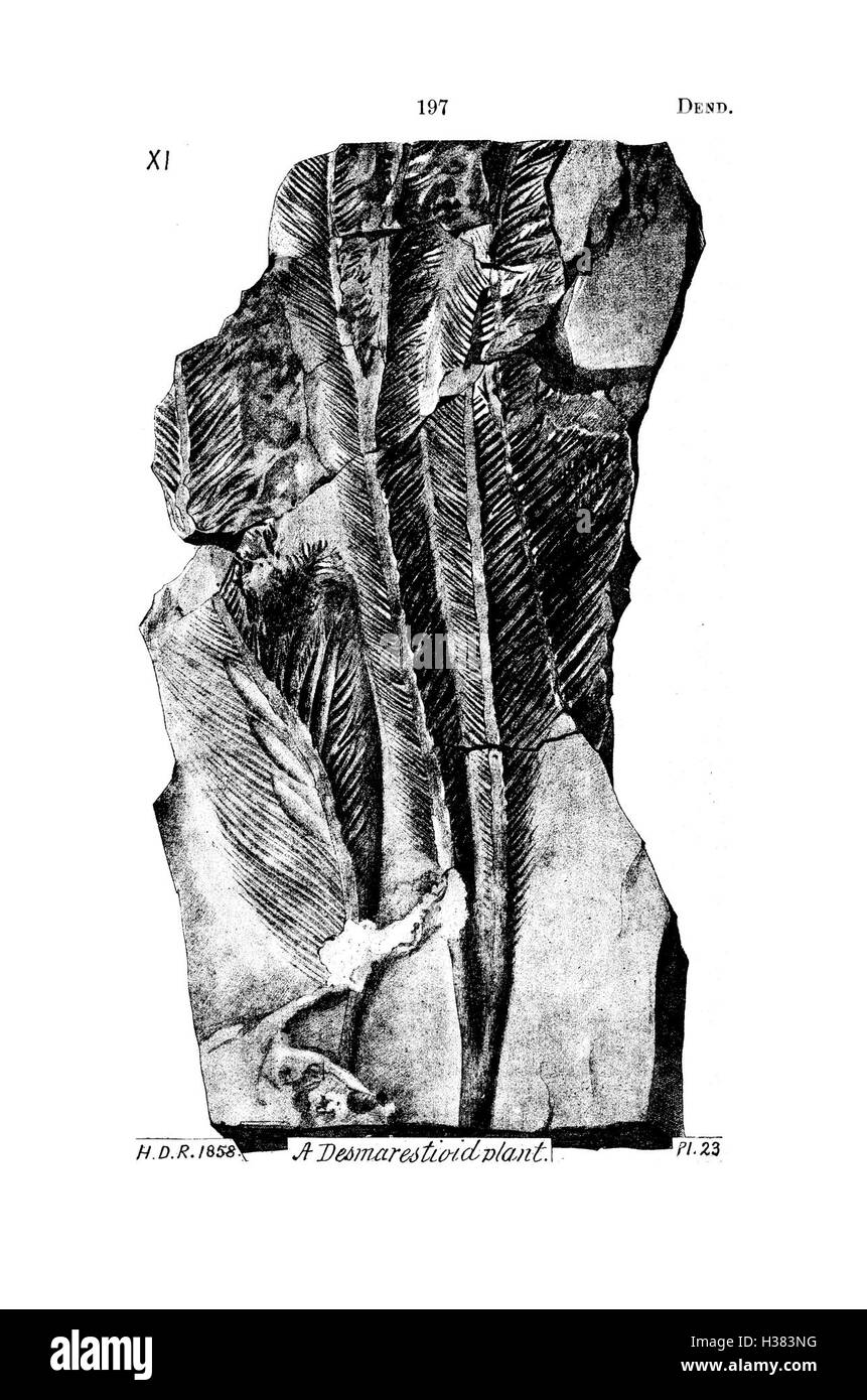 Pennsylvania map lettering Cut Out Stock Images & Pictures - Alamy