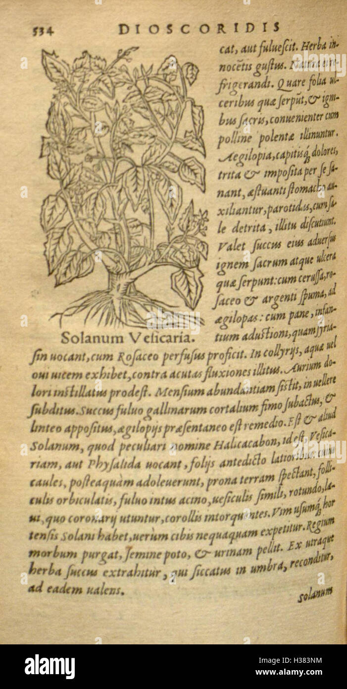 This classical work by Pedanius Dioscorides explores medicinal plants ...