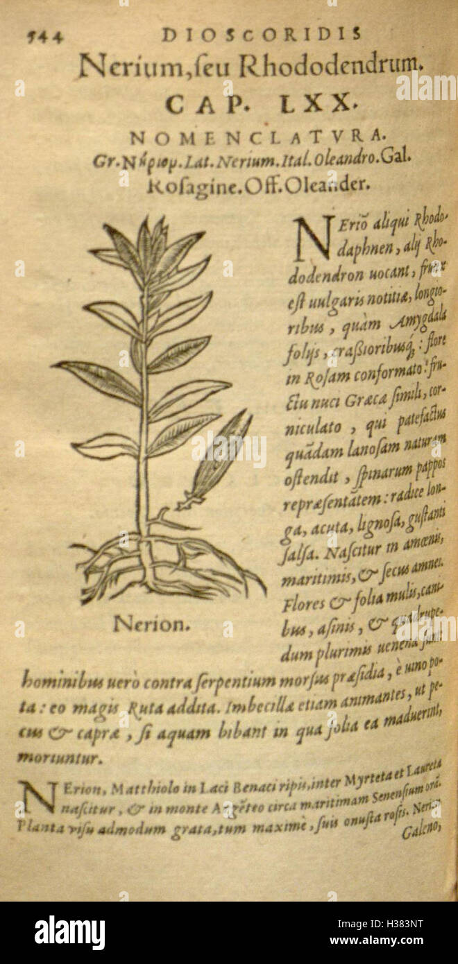 This work presents the six books of Dioscorides on medicinal plants ...