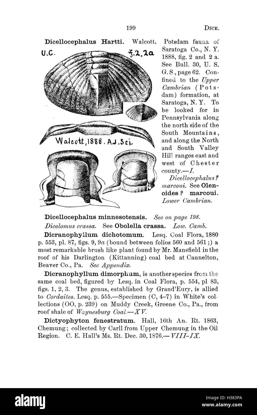 This page presents a comprehensive dictionary of fossils found in ...