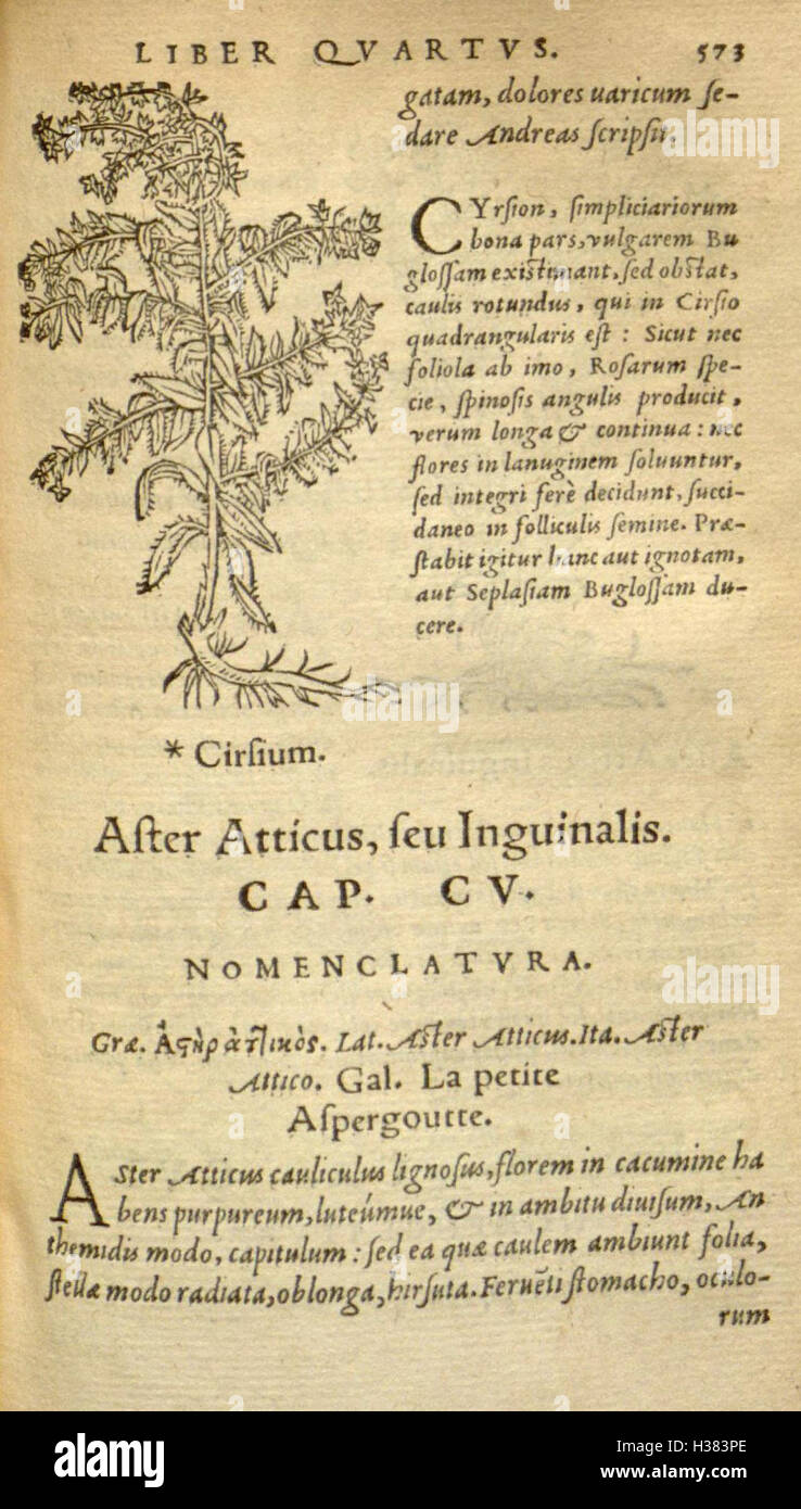 A continuation of Dioscorides' work on medicinal plants, this section ...