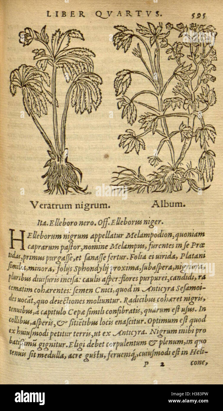 This text explores the six books of Pedanius Dioscorides' De Materia ...