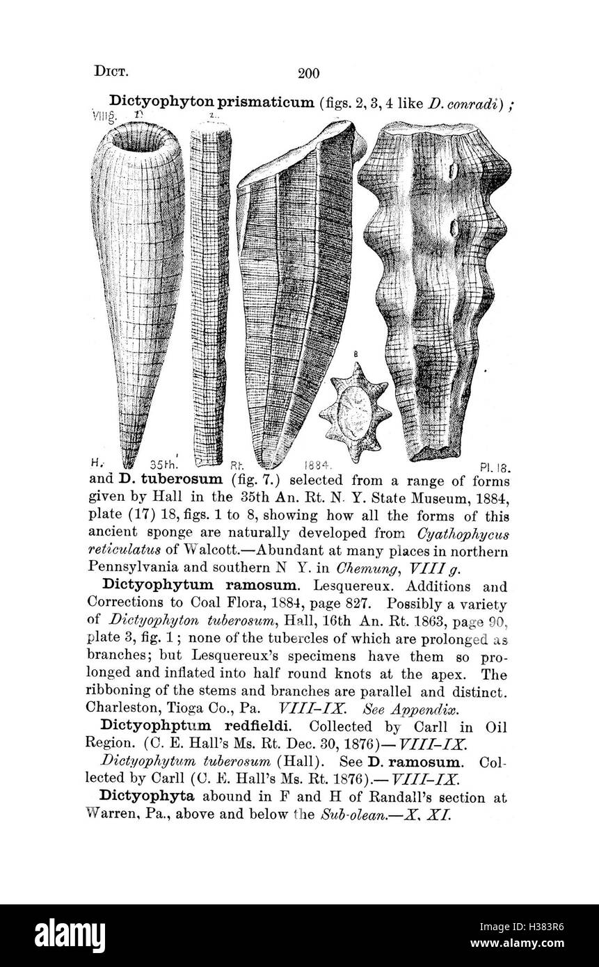 This dictionary catalogs fossils from Pennsylvania and surrounding ...