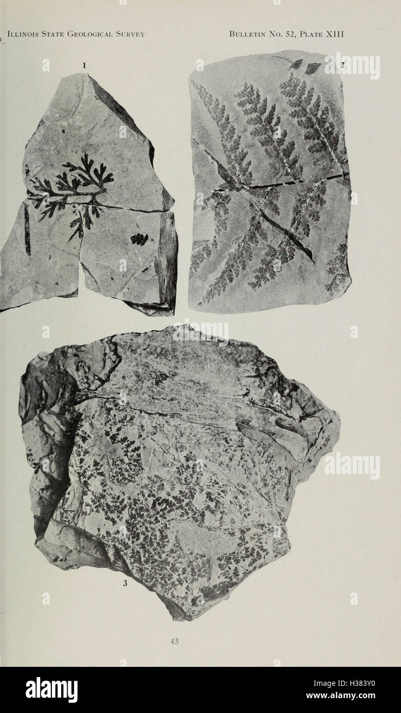 Flora illinois map hi-res stock photography and images - Alamy