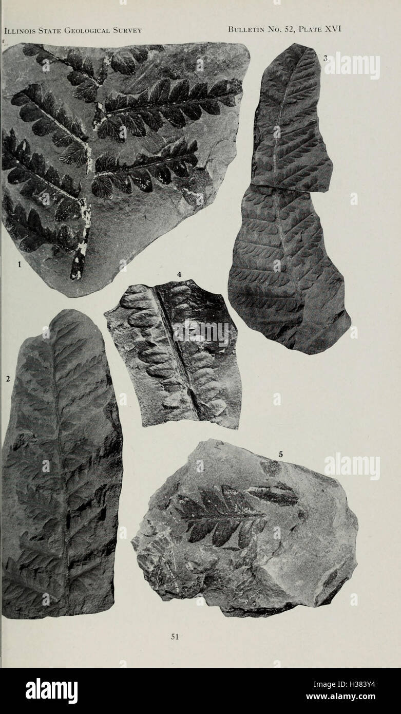 Flora illinois map hi-res stock photography and images - Alamy