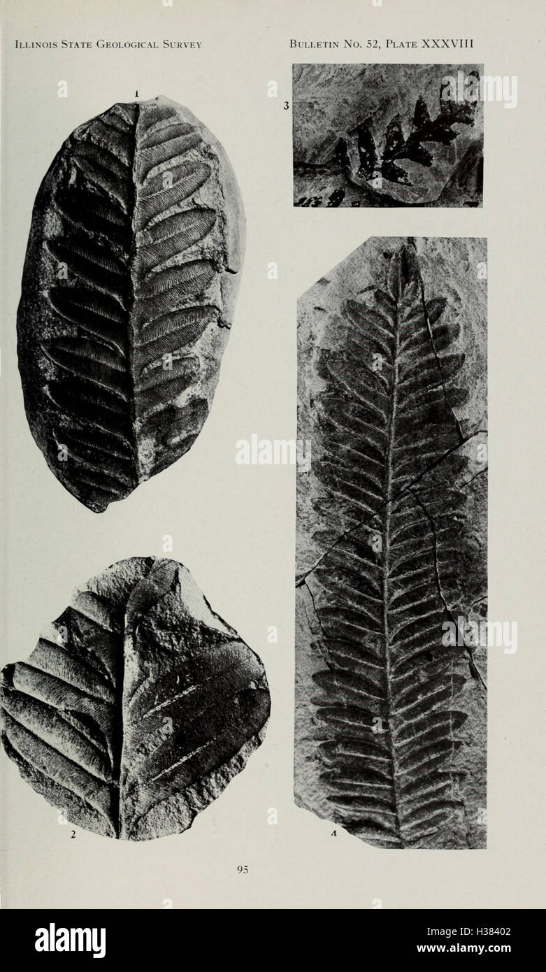 Flora illinois map hi-res stock photography and images - Alamy