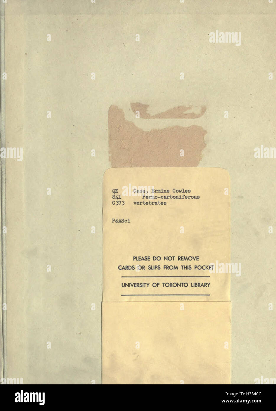 Permo Carboniferous High Resolution Stock Photography and Images - Alamy