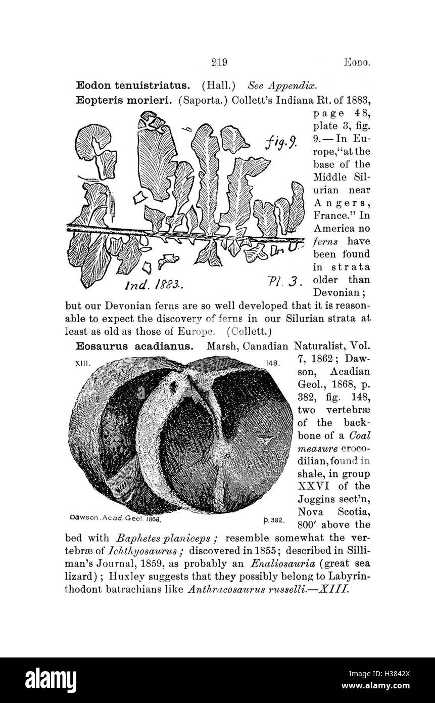 This dictionary catalogs the fossils found in Pennsylvania and ...