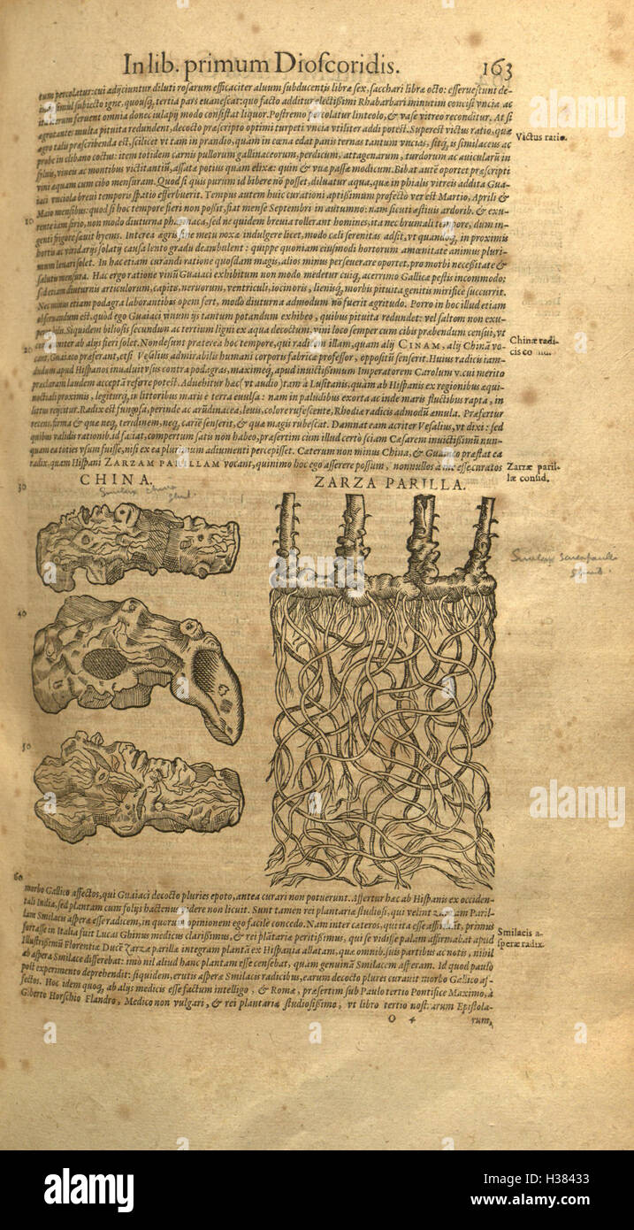 This work provides commentary on the medicinal writings of Dioscorides ...