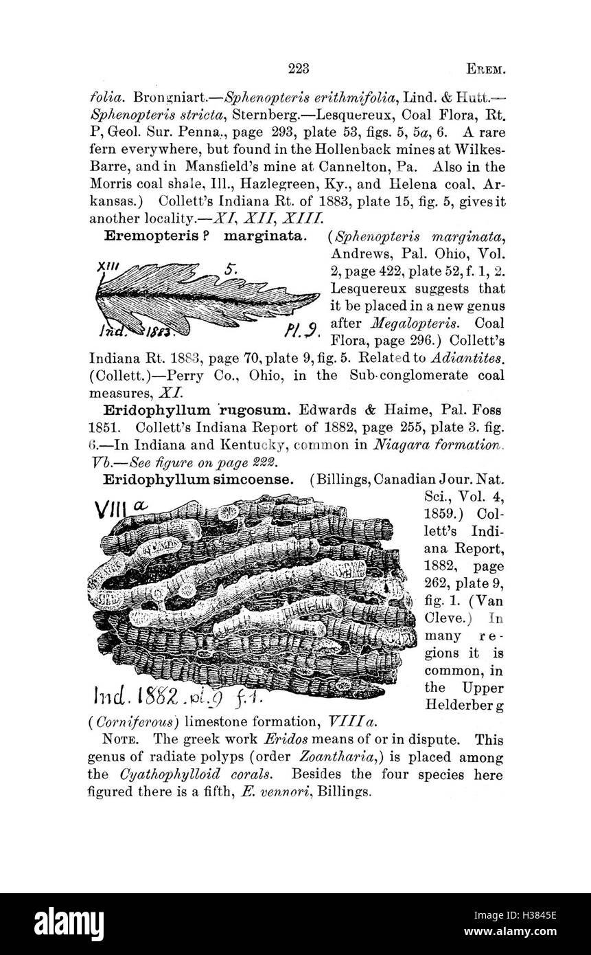 This dictionary catalogs fossils from Pennsylvania and neighboring ...