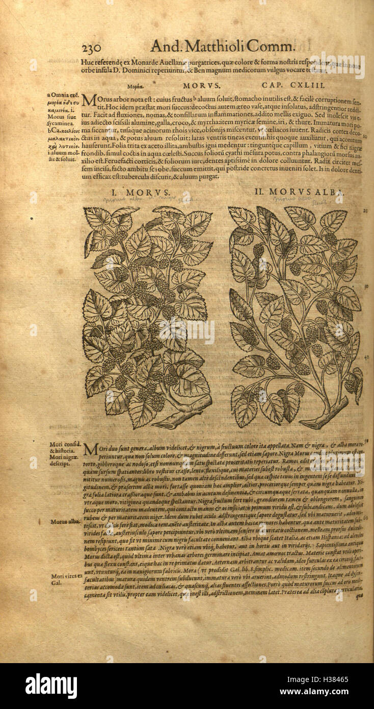 A complete work by Petrus Andreae Matthioli, containing his ...