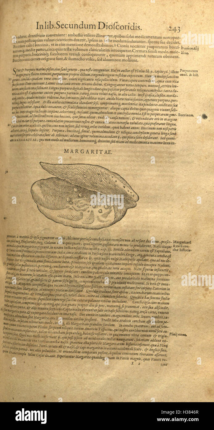 This work by Petrus Andreae Matthioli includes comprehensive ...
