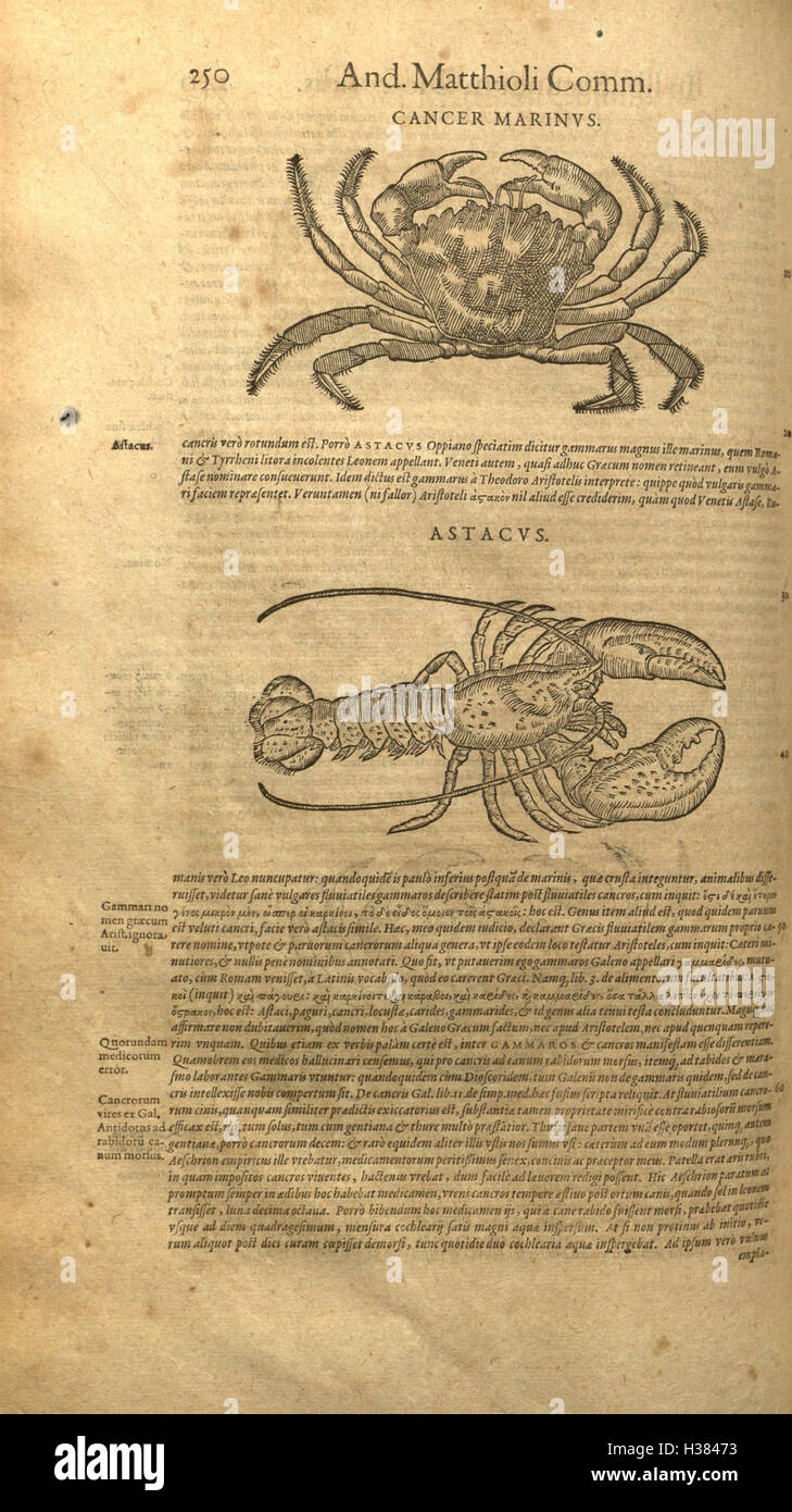 The complete works of Pietro Andrea Mattioli, including his ...
