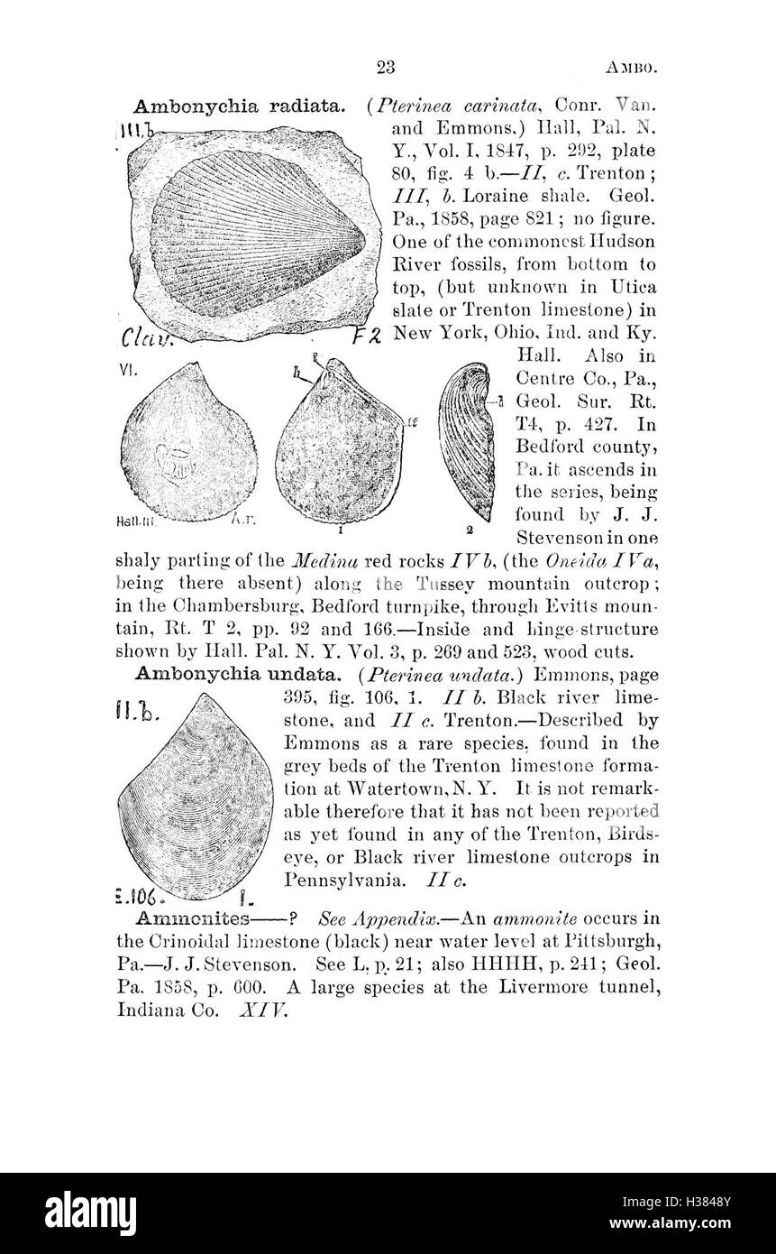 This dictionary compiles fossil records from Pennsylvania and ...