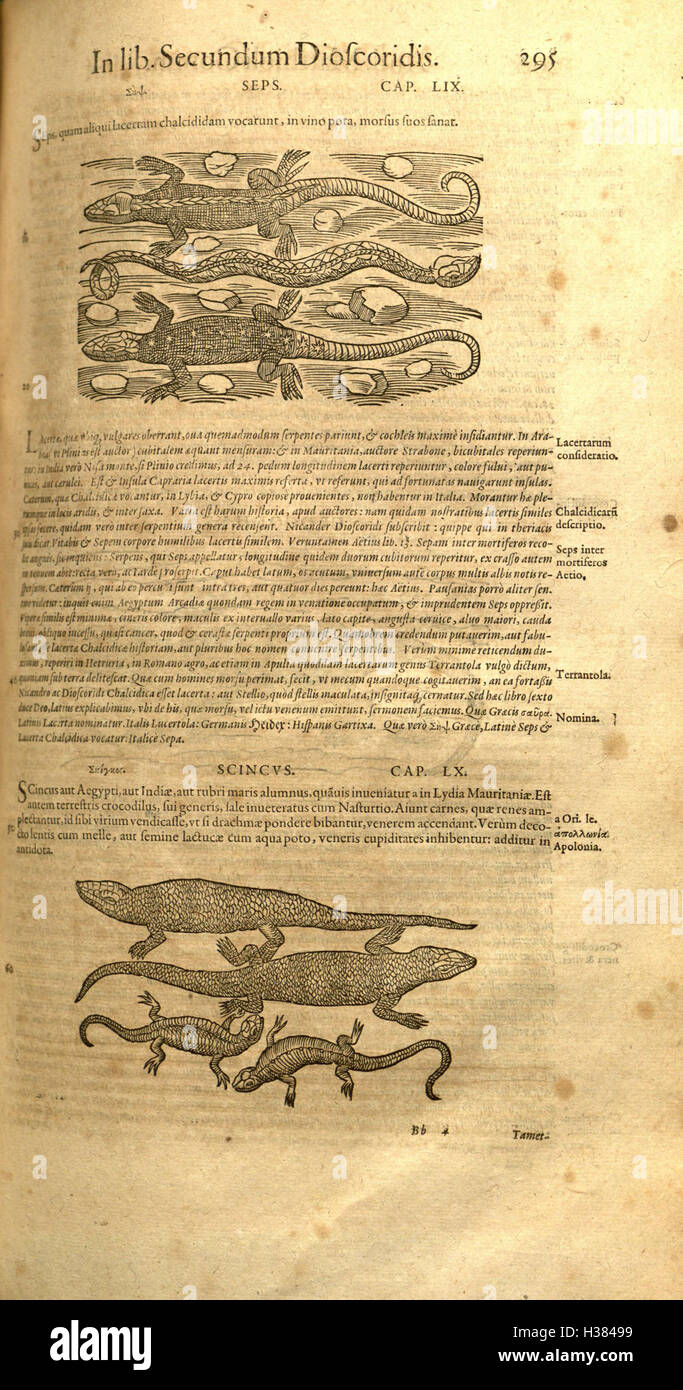 This work contains commentary on the six books of Pedanius Dioscorides ...