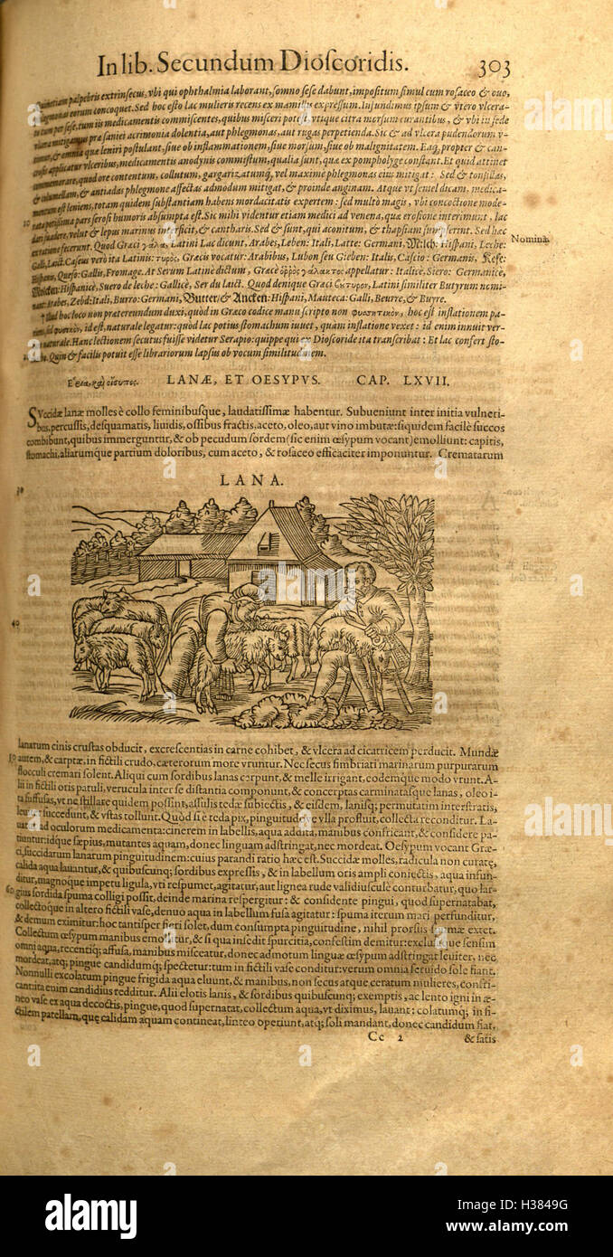 This page continues the exploration of Pedanius Dioscorides' 'De Medica ...