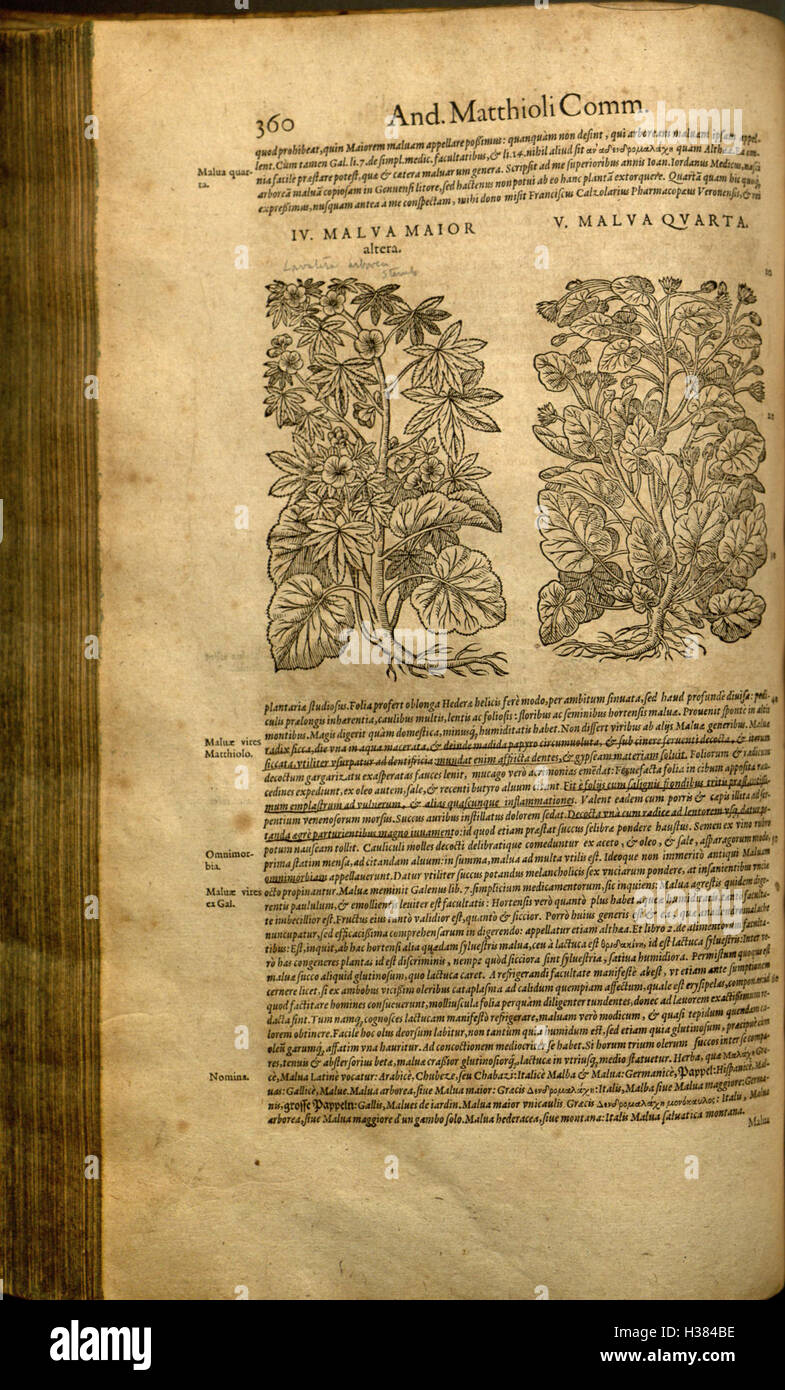 The complete works of Pietro Andrea Mattioli, focusing on his detailed ...
