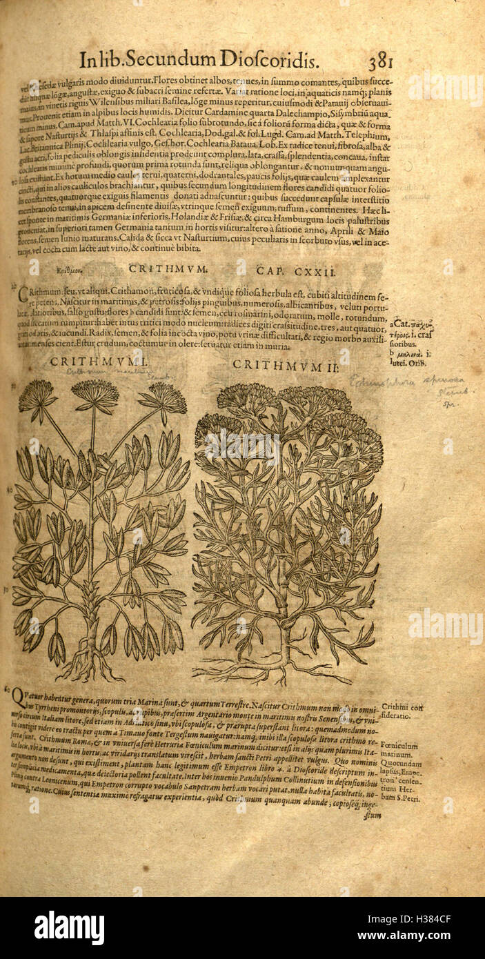 A comprehensive work by Pietro Andrea Mattioli on Dioscorides' 'De ...