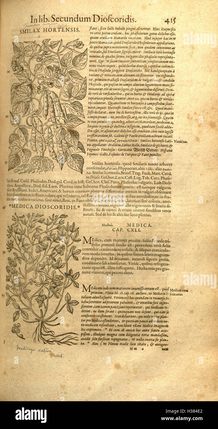 This classical work by Pietro Andrea Mattioli presents comprehensive ...