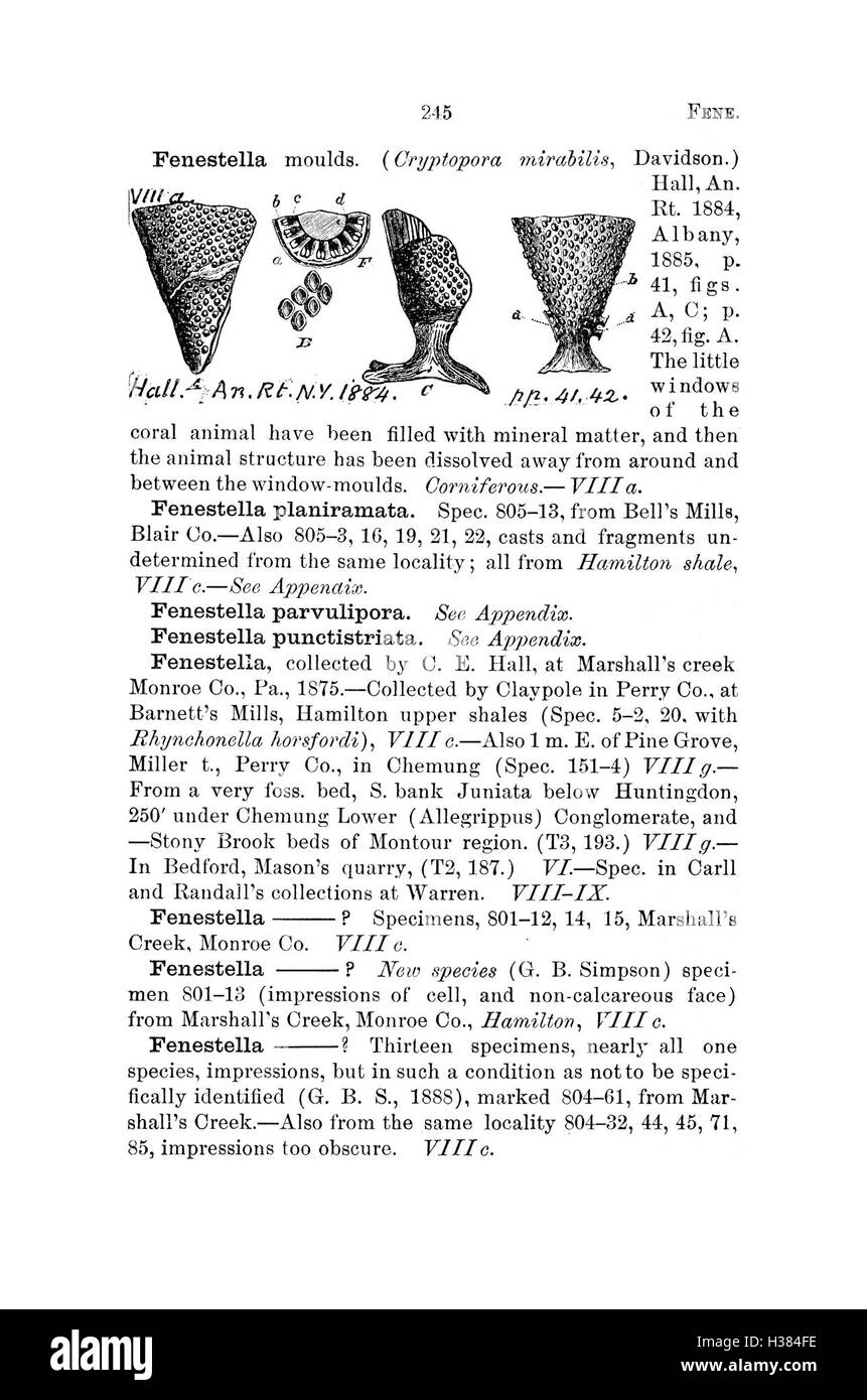 This dictionary provides detailed information about fossil species ...
