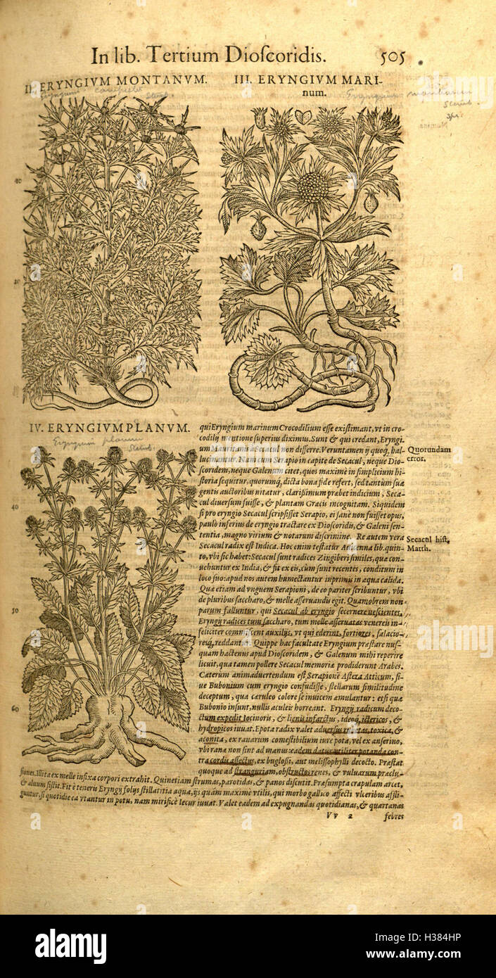 Petri Andreae Matthioli’s work is a detailed commentary on Dioscorides ...