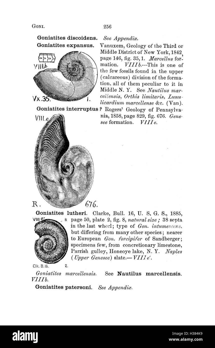 This dictionary catalogs fossils found in Pennsylvania and surrounding ...