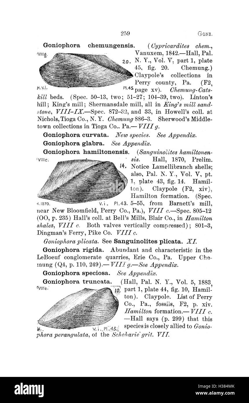 This page provides a detailed dictionary of fossils from Pennsylvania ...