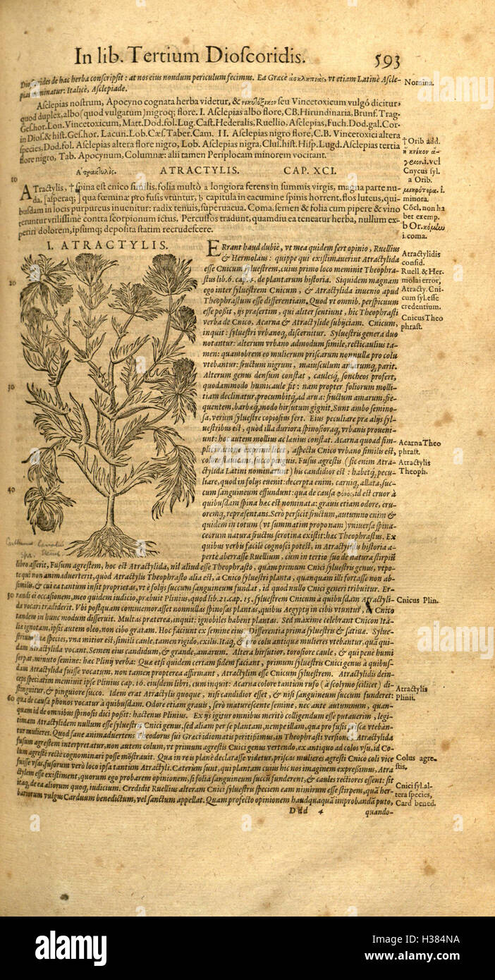This text includes the complete works of Pietro Andrea Mattioli ...