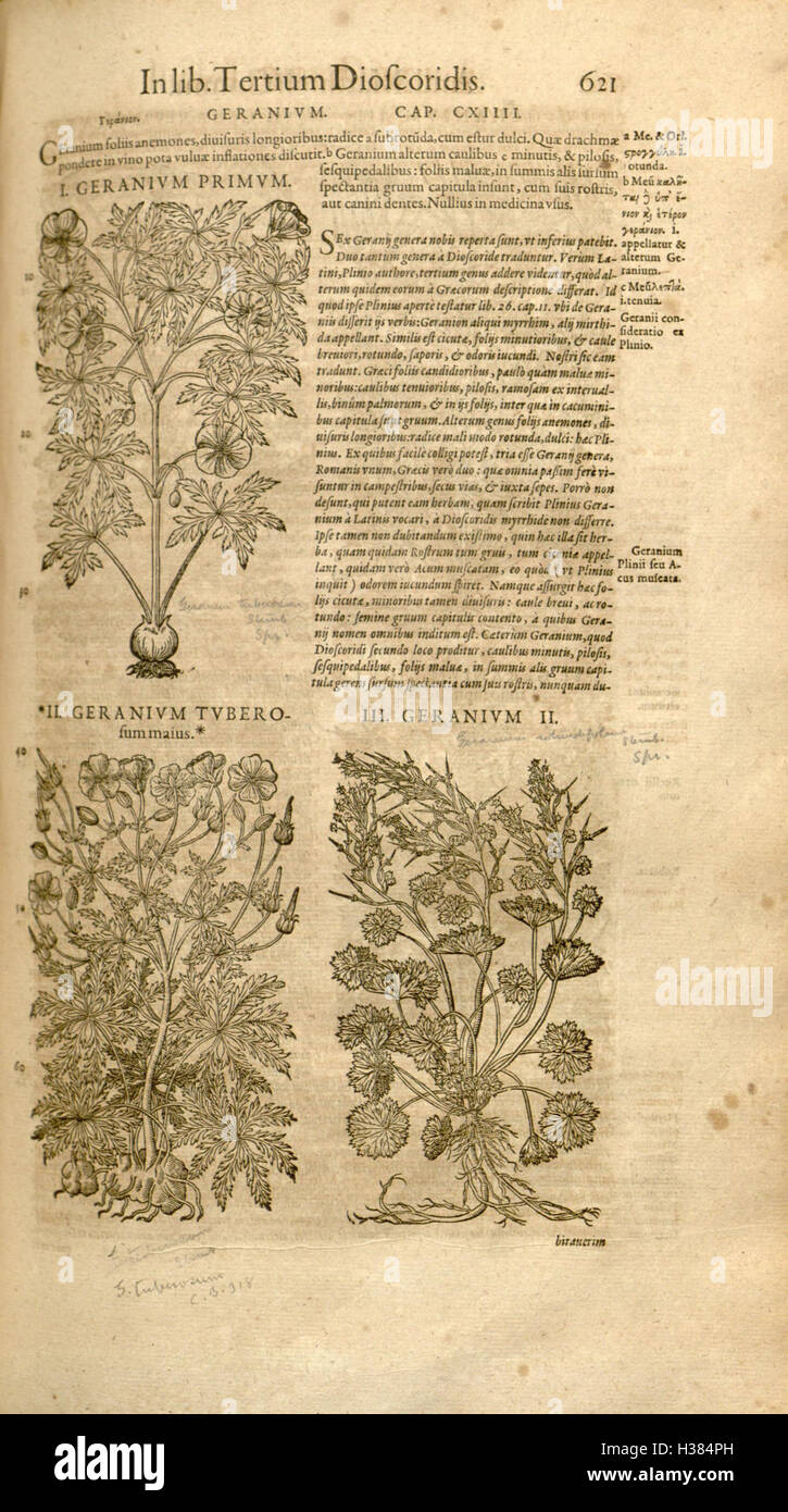 This volume contains Matthioli's comprehensive commentary on ...