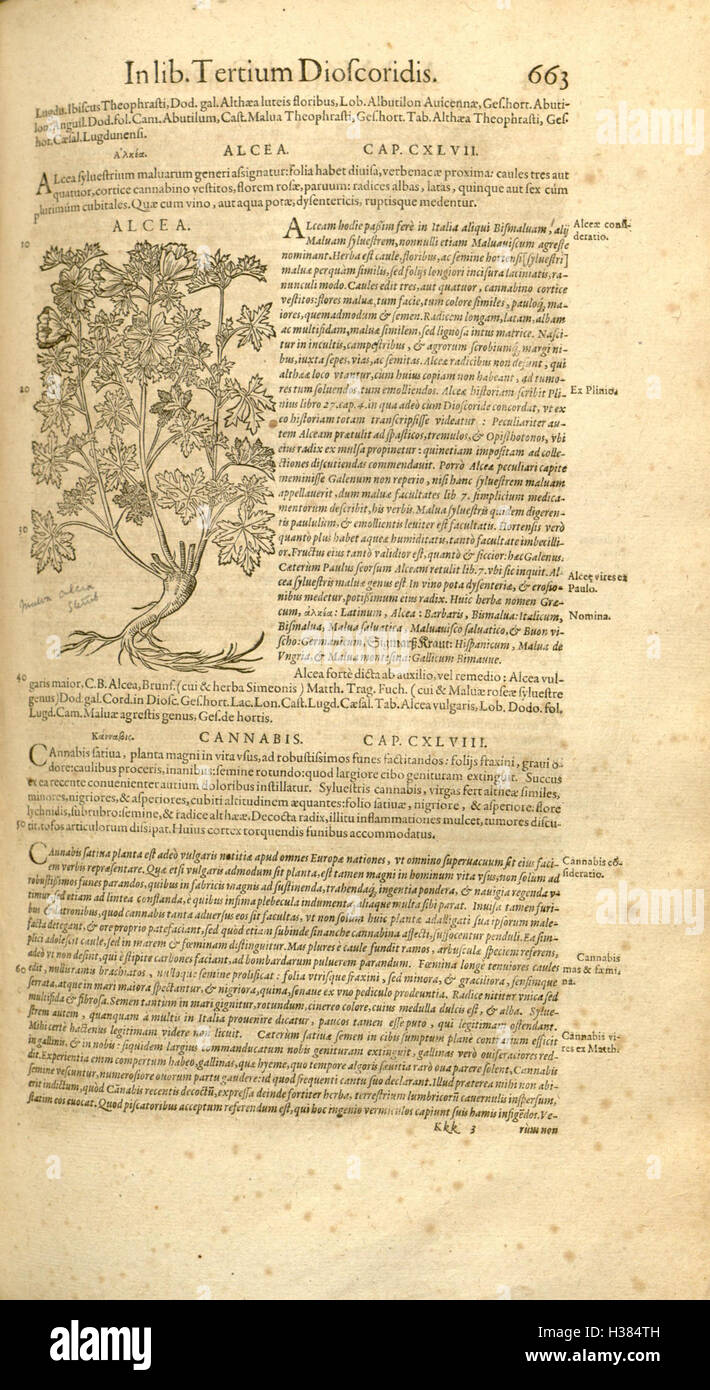This medical work by Petrus Andreae Matthioli contains comprehensive ...