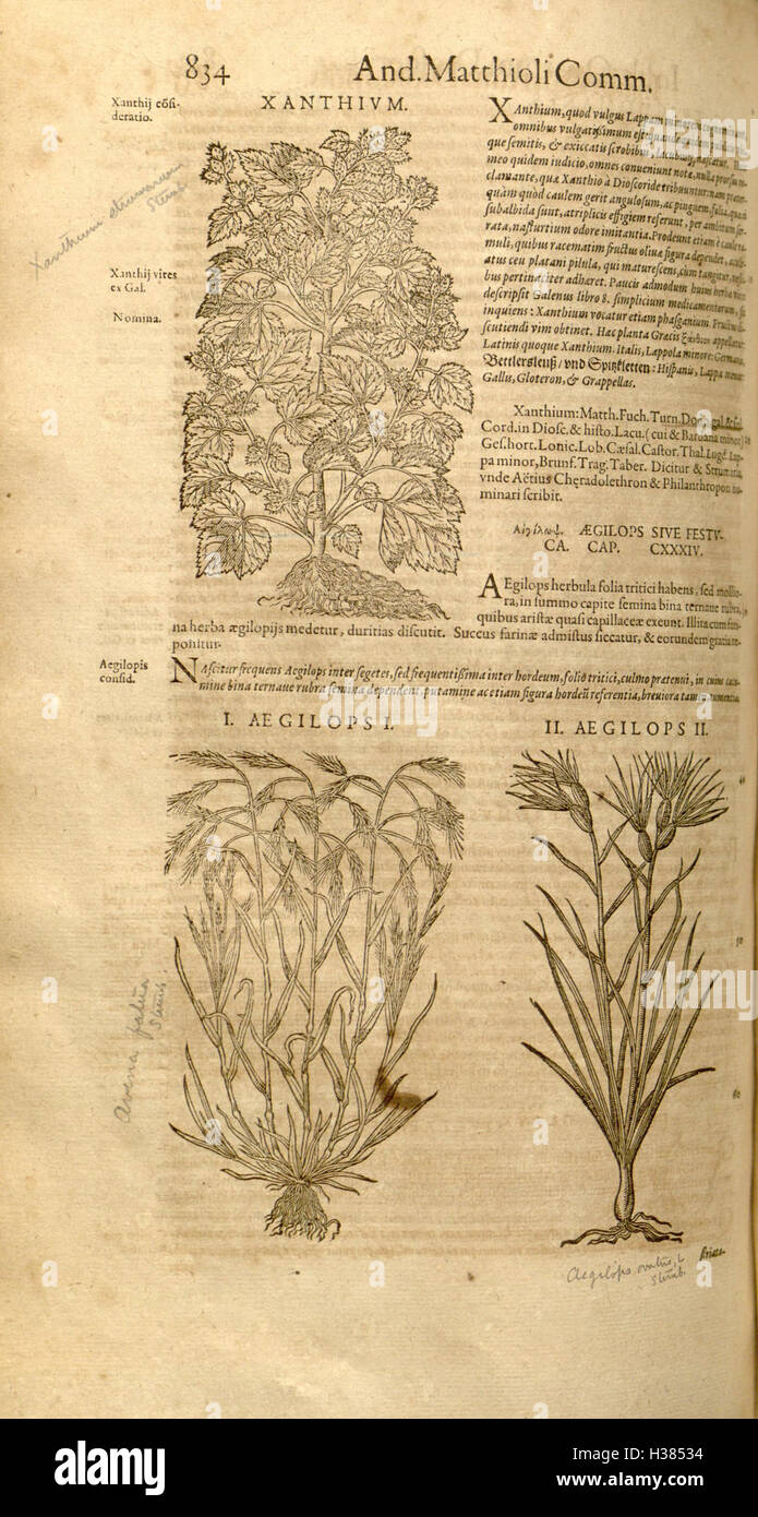 This work by Petrus Andreae Matthioli is a comprehensive commentary on ...