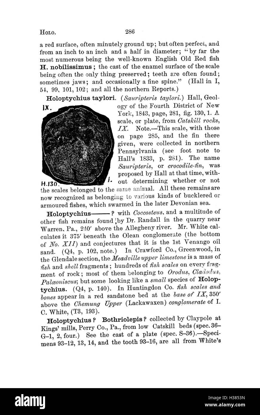 This comprehensive dictionary provides detailed descriptions of fossils ...