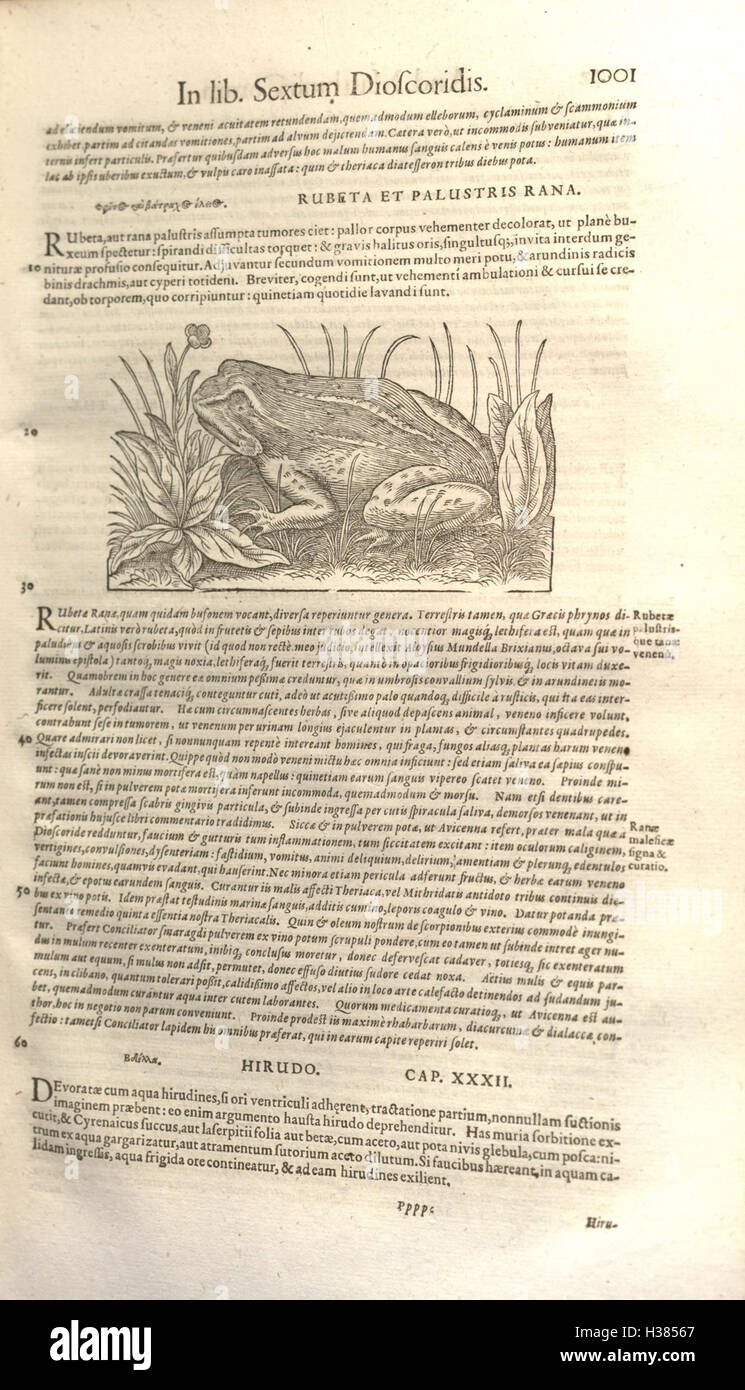 This complete work by Pietro Andrea Mattioli offers a detailed ...