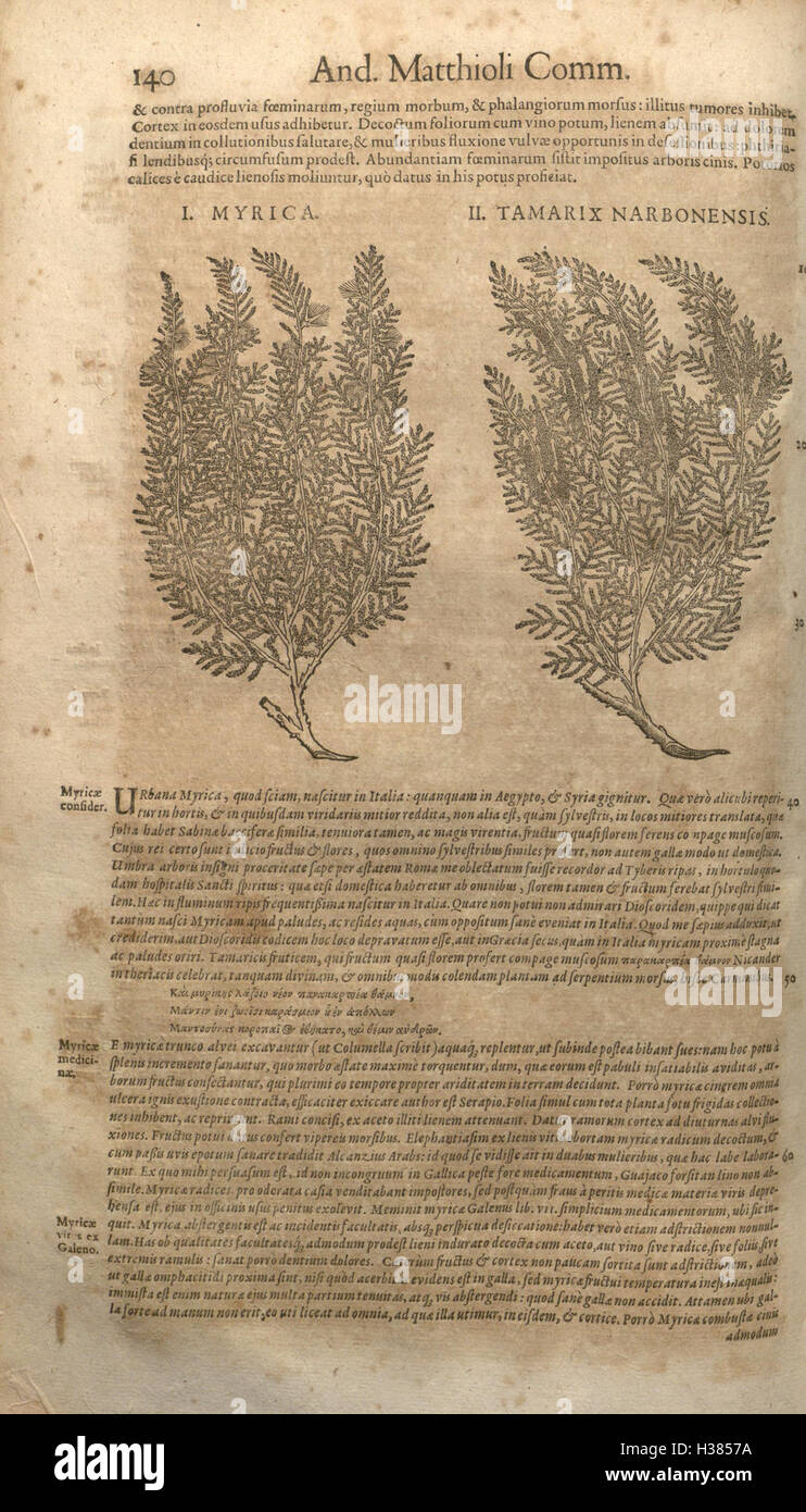 This ancient text contains detailed commentaries on the works of ...