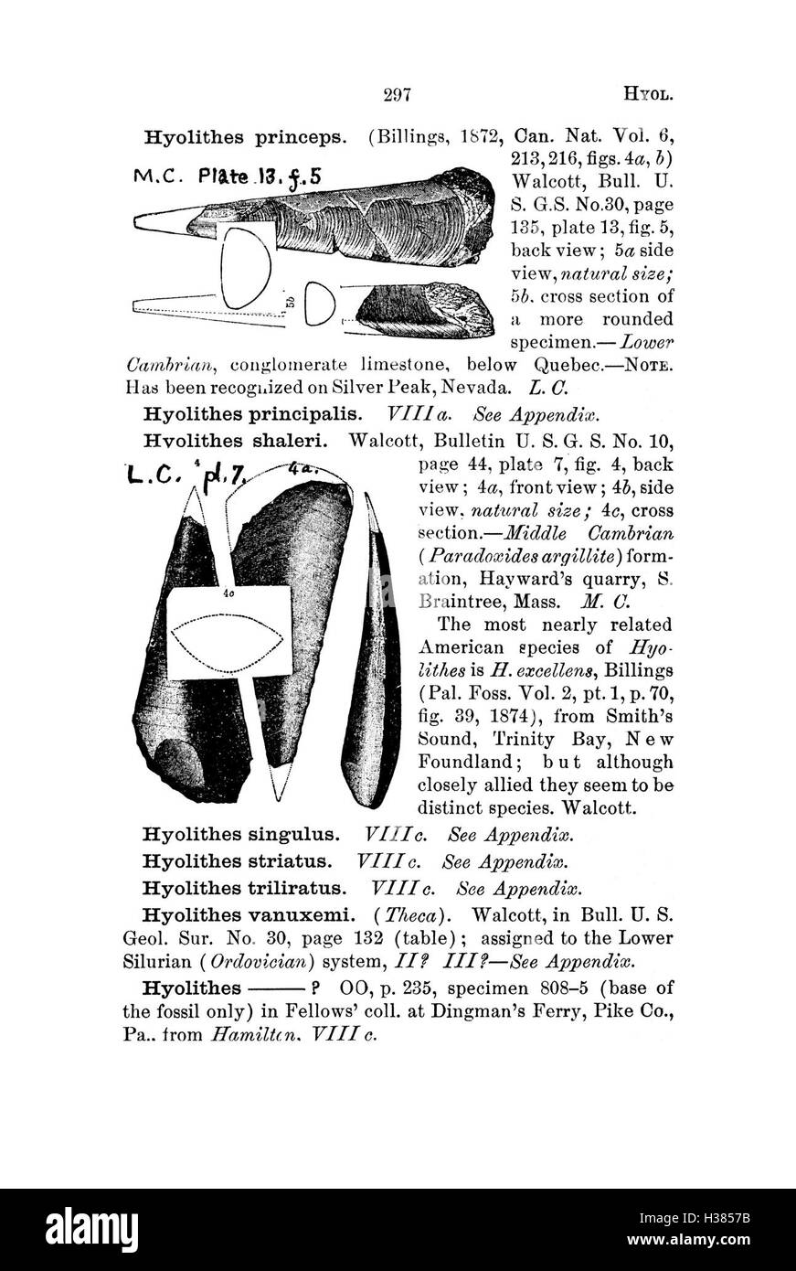 This dictionary provides a comprehensive list of fossils found in ...