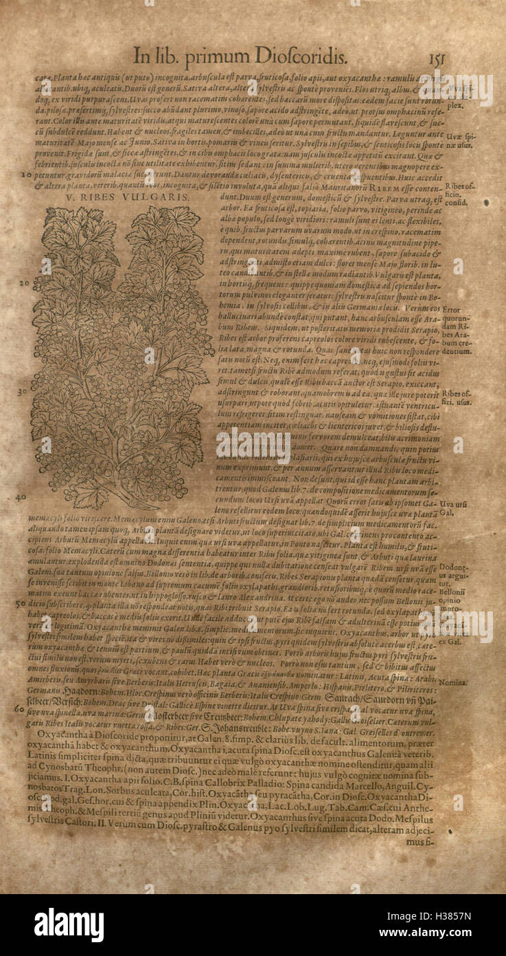 A classical work by Pietro Andrea Mattioli on the medicinal properties ...