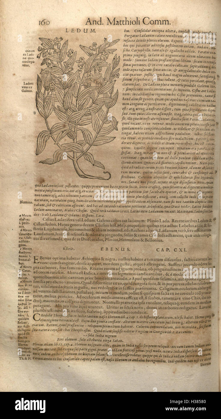Another volume in the complete works of Pietro Andrea Mattioli, focused ...