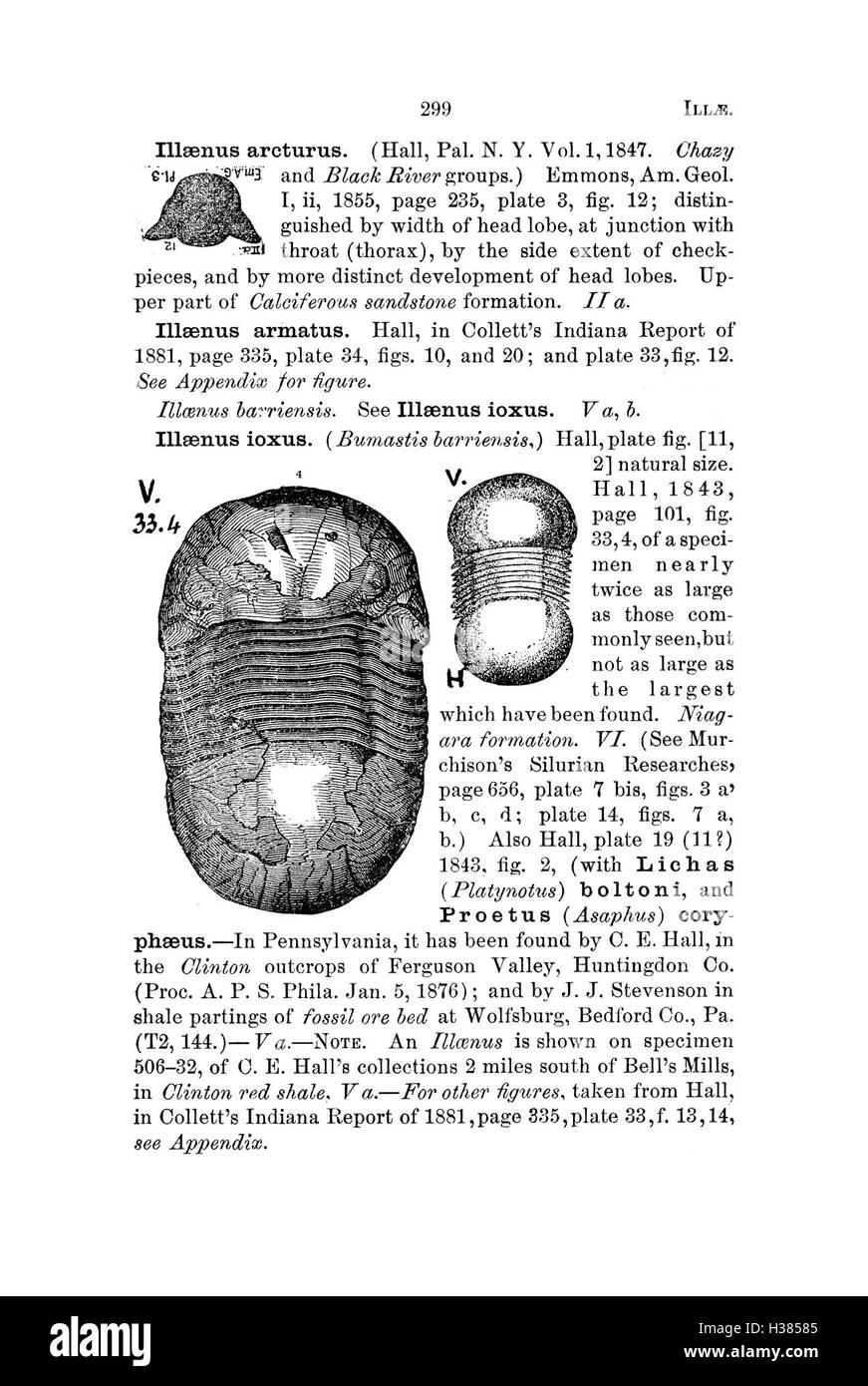 This dictionary provides an organized list of fossils from Pennsylvania ...