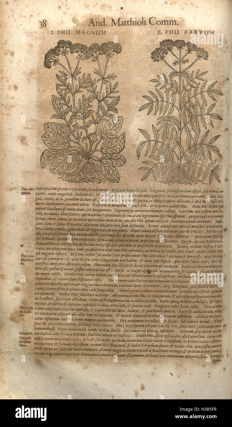 This comprehensive work by Pietro Andrea Mattioli provides extensive ...
