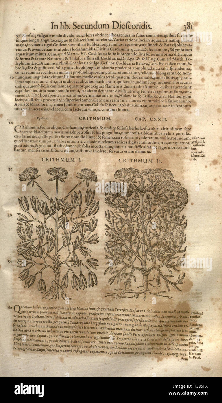 Matthioli's commentary on Dioscorides' work provides an in-depth study ...