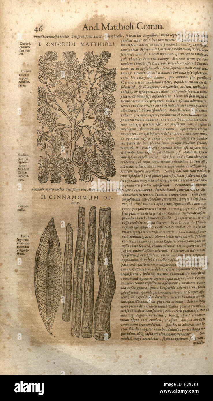 Petri Matthioli's complete commentary on Dioscorides’ six books of 'De ...