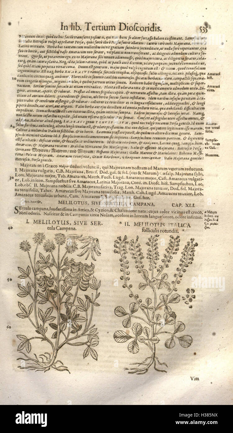 This work is a commentary on the six books of Pedanius Dioscorides’ 'De ...