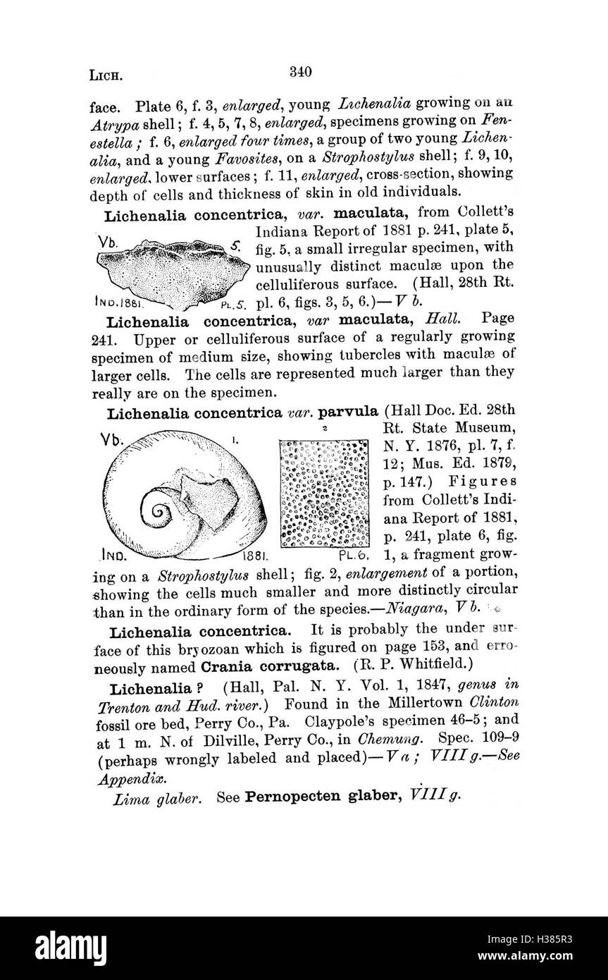 This work provides a comprehensive dictionary of fossils found in ...