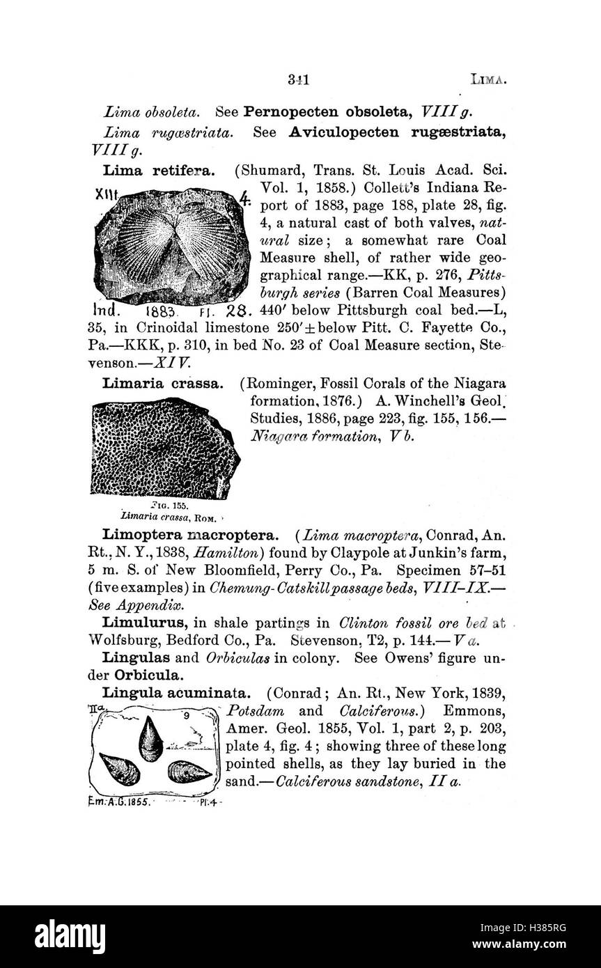 This dictionary catalogs fossil specimens from Pennsylvania and its ...