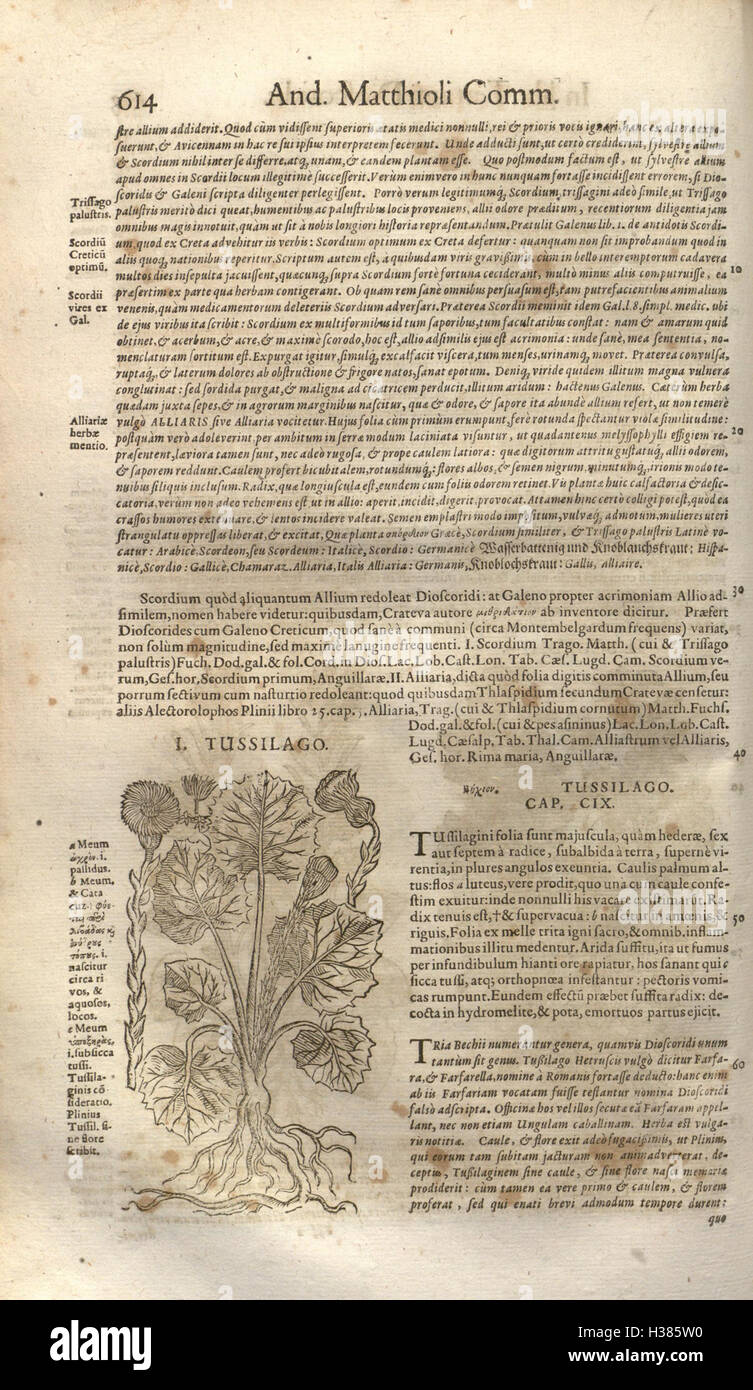 A comprehensive commentary on Dioscorides' work on medicinal plants ...