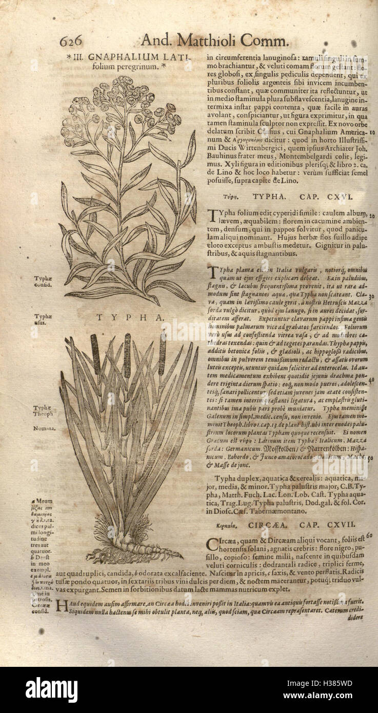 A comprehensive work by Pietro Andrea Mattioli on Dioscorides' 'De ...