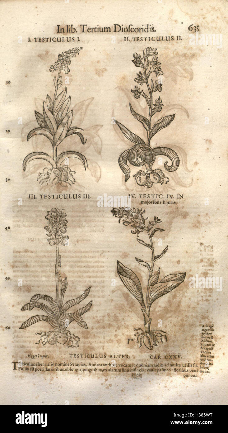 In this continuation of Matthioli’s commentary on Dioscorides' work ...