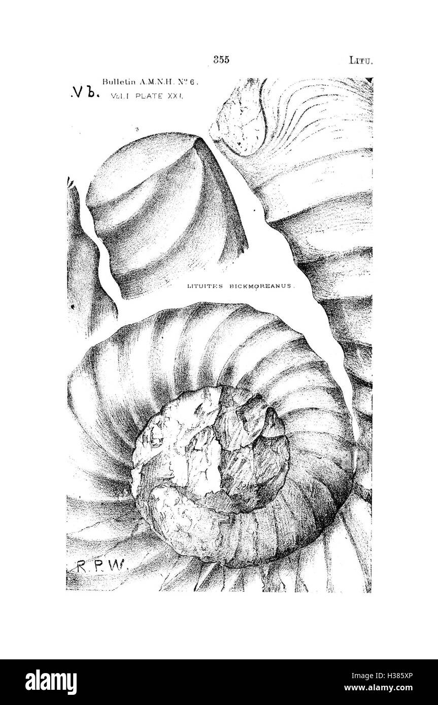 A dictionary of the fossils of Pennsylvania and neighboring states ...