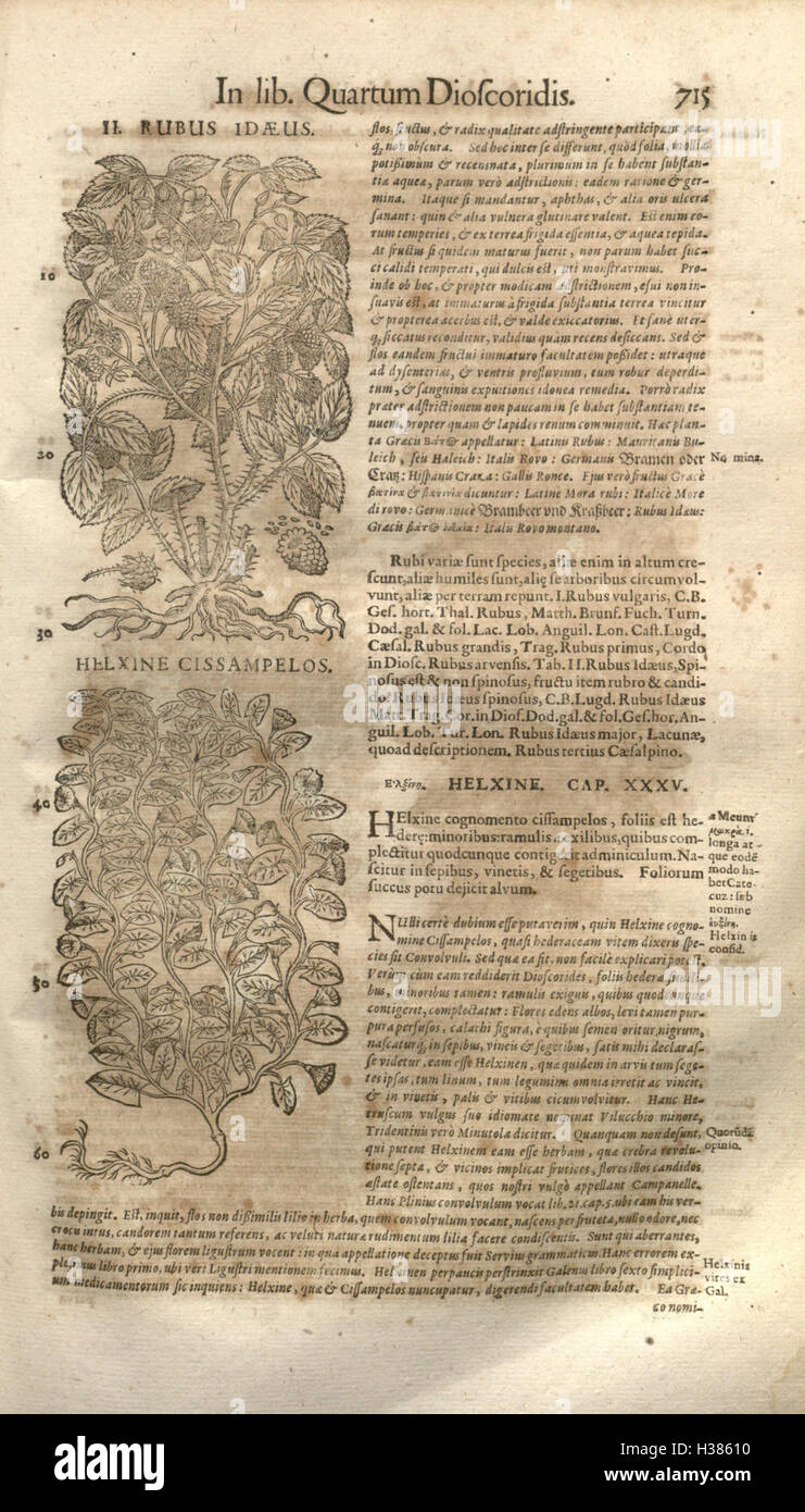 This page contains commentary on the six books of Pedanius Dioscorides ...