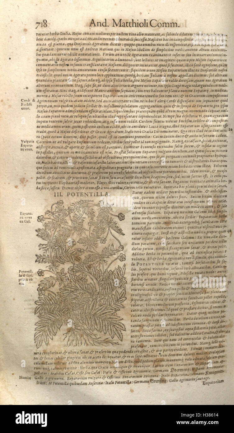 A continuation of Matthioli’s work on Dioscorides’ writings, providing ...
